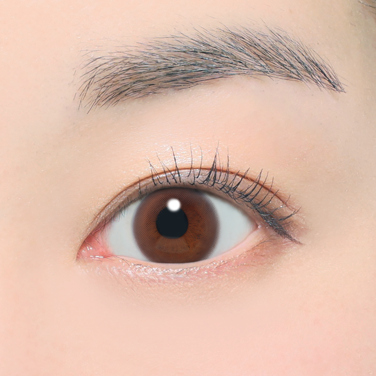 Nui Brown [ReVIA] | 1day Colored Contact Lens - DIA 14.1mm | Push!Color