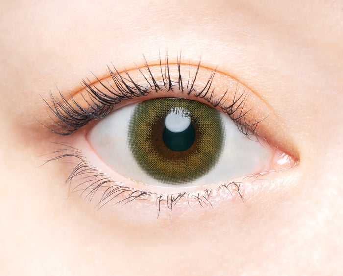 Vintage Pistachio [Bambi Series] | 1day Colored Contact Lens - DIA 14 ...